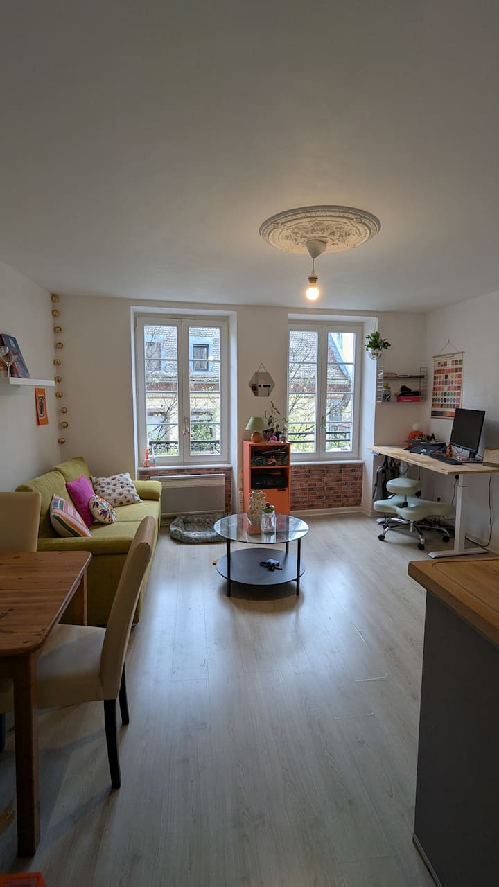 Appartement Coloré Et Calme - Strasburgo