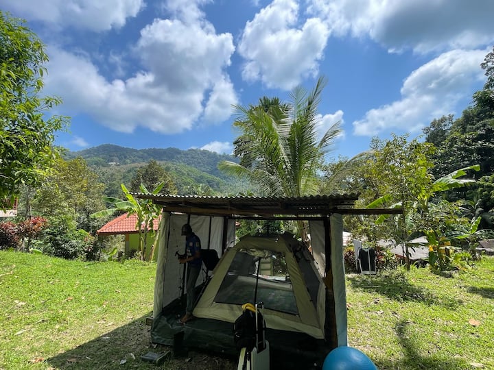 Camping Tent - Koh Samui