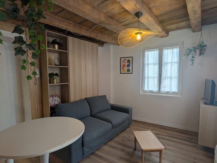 Studio Cosy à 2 Pas Du Marché De Noël - Strasbourg