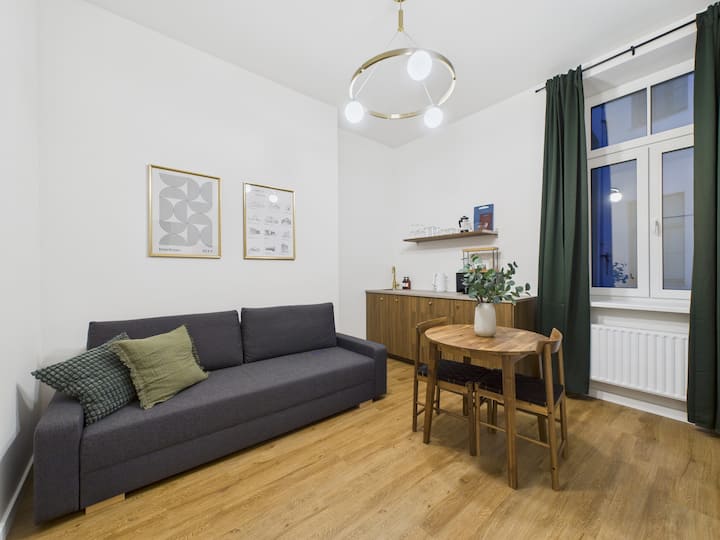 Modern 1 Bedroom City Centre Apartment - Riga