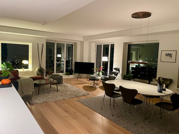 Flot Lejlighed - Fantastisk Udsigt Over København - Copenhaguen