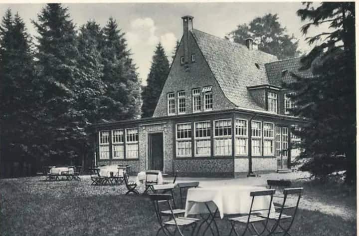 Die Wald-destination Für Events Und Große Familien - Wiesmoor