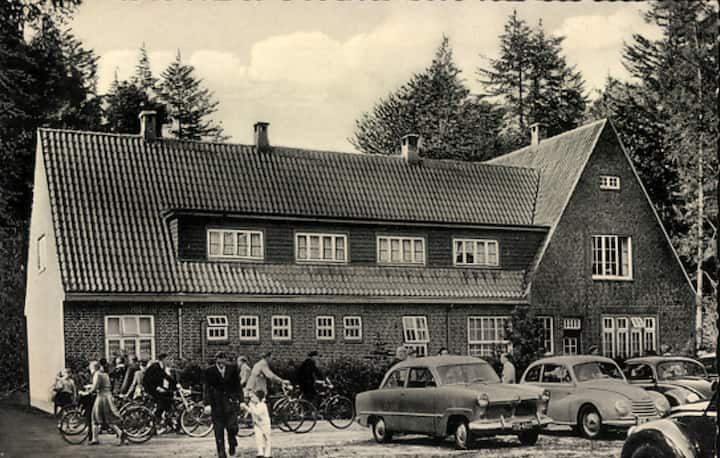 Die Wald-destination Für Events Und Große Familien - Friedeburg