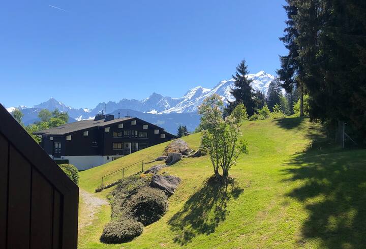 Studio 3 Pers. Vue Mont Blanc, Proche Des Pistes. - Combloux