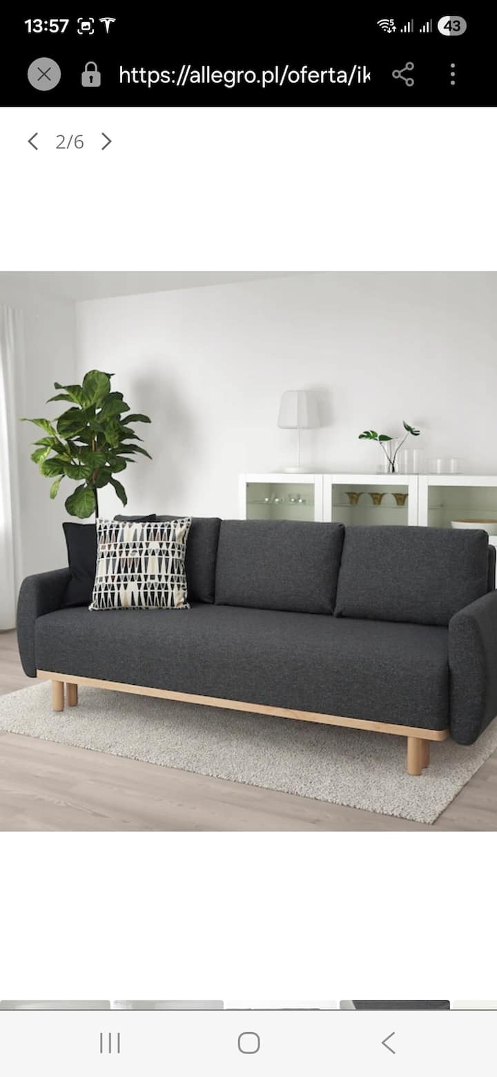 House Of Love - Gent