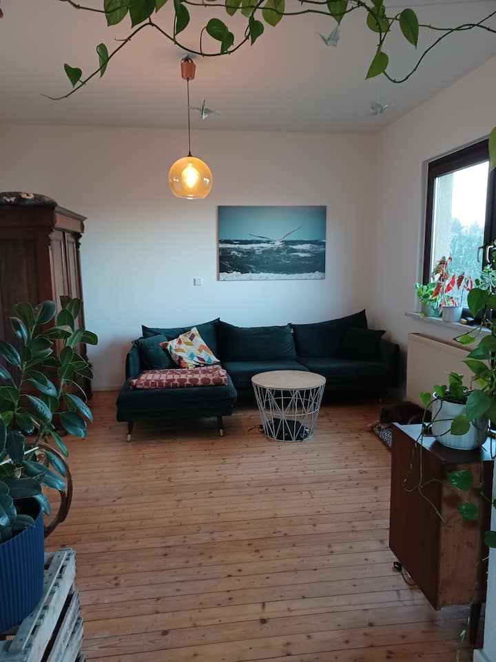 Gemütliches Haus Mit Garten In Der Vulkaneifel - Mendig