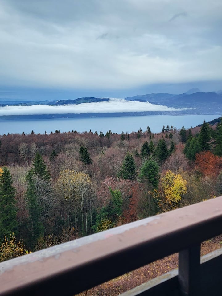 Appartement - Thollon-les-Mémises