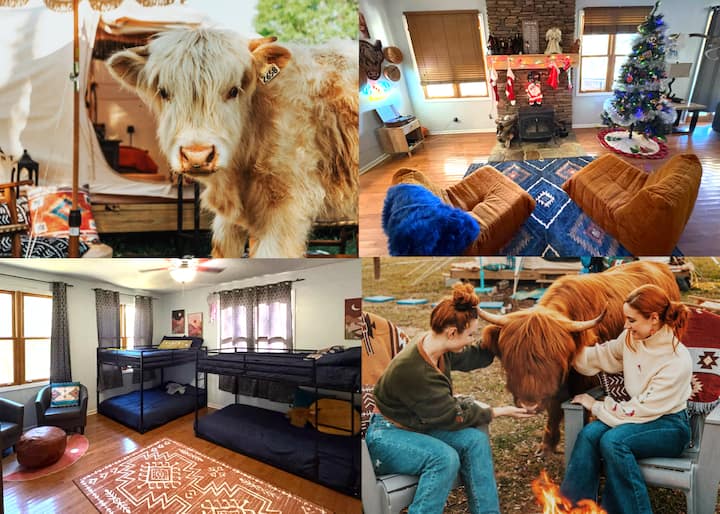 The Lazy Cow Cabin W/ Fluffy Cows, Llamas & Sheep - Thomson, GA