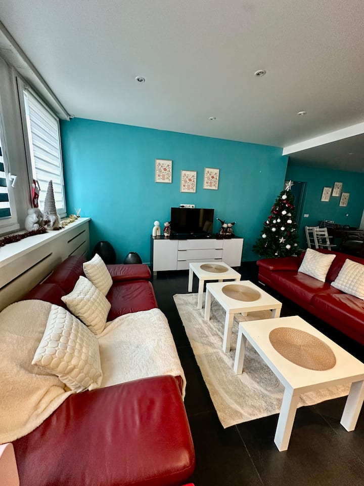 Bienvenue Au « Loft » De 170m2 Avec Garage - Mulhouse