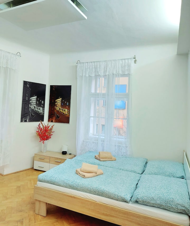 Sophia Apartment I.p. Pavlova - Praag