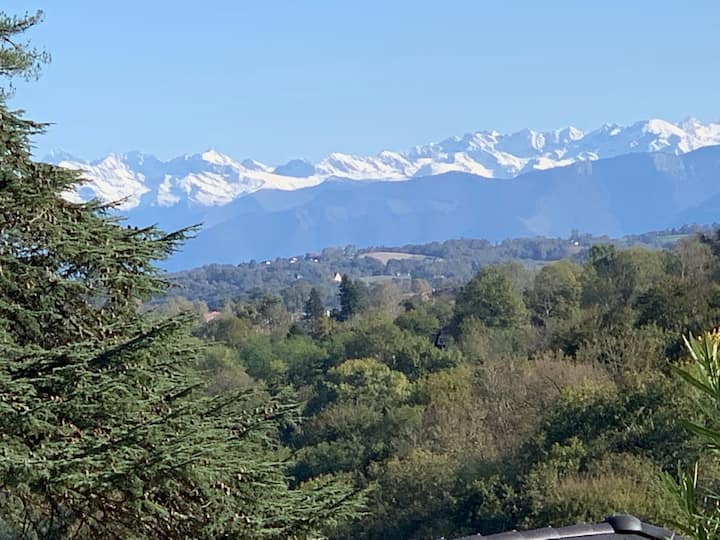Villa Sur Les Coteaux De Jurançon à 10' De Pau - Pau