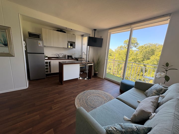 Armonía Pucón | Vista Al Volcán - Pucón