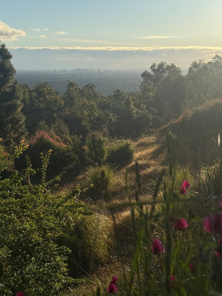 Argos Place - Salisbury