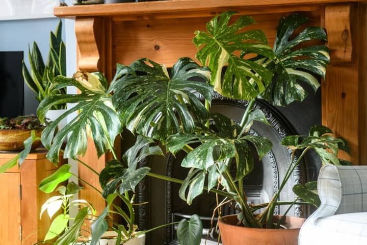 Cute Private Space In The Center Of Zurich - Zurich