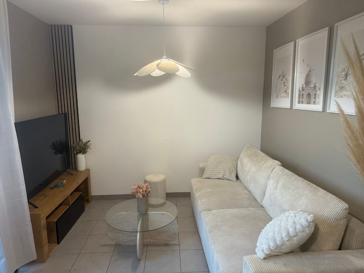 Coquet Appartement Meublé - Condrieu