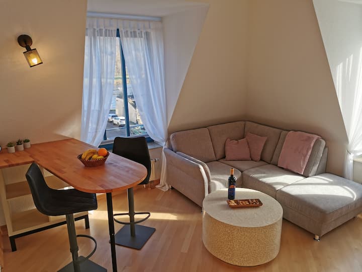 Fewo "Elbblick" Große Dachterrasse & Tiefgarage - Heidenau