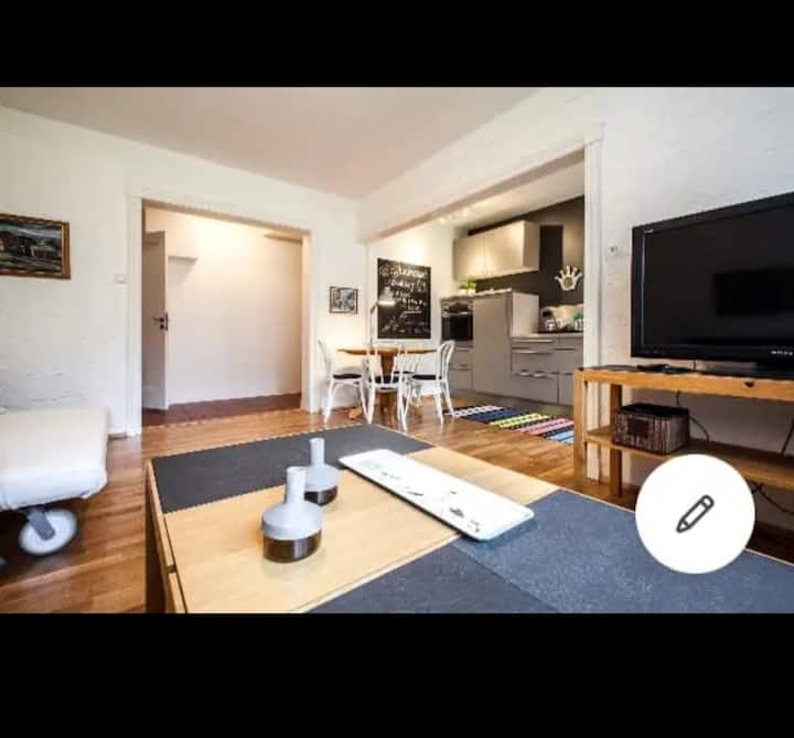 Cozy Downtown Apartment - Reykjavík