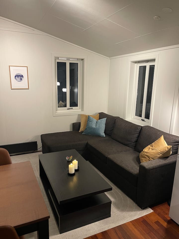 Varm Og Innbydende Leilighet I Tromsø Sentrum - Tromsø