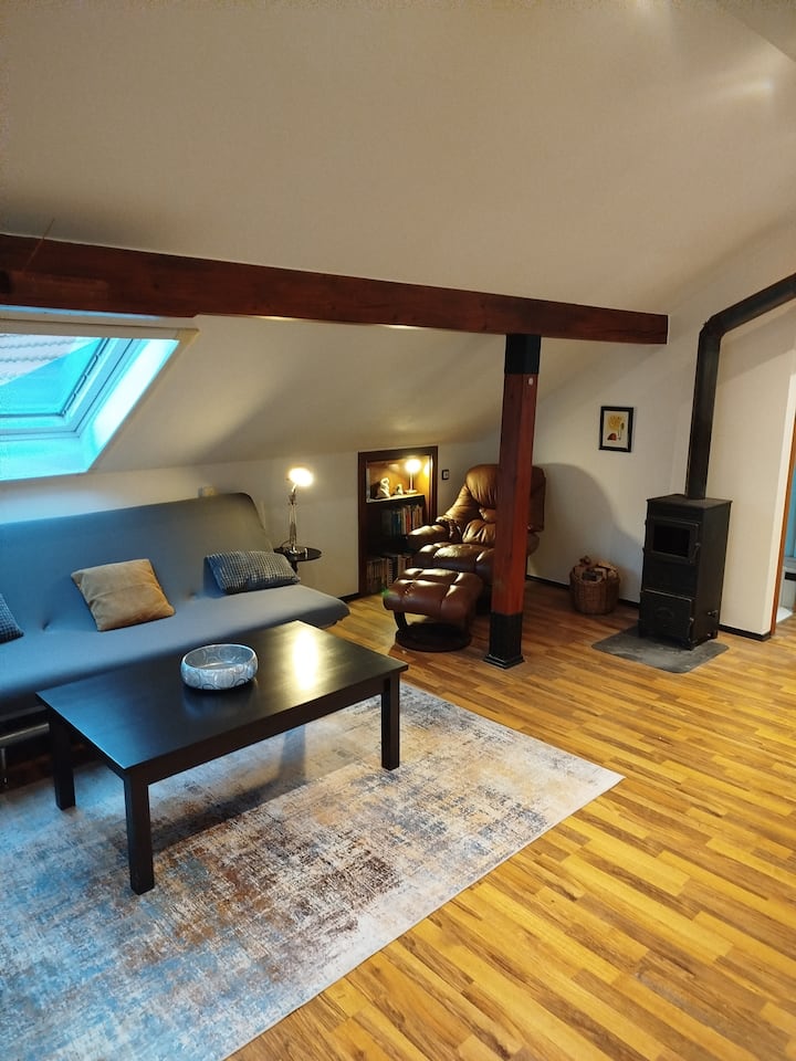 Altstadt Appartement Luka - Roding