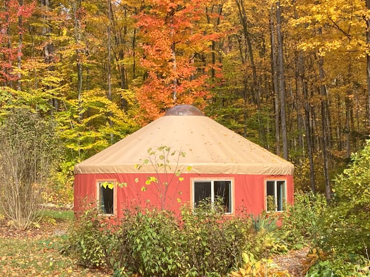 Bristol Cozy Yurt Near Hiking/swimming|maplefarm - New Haven, VT