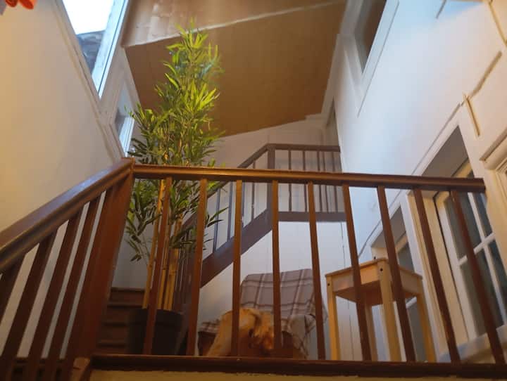 Maison Atypique Centre Historique - Auch