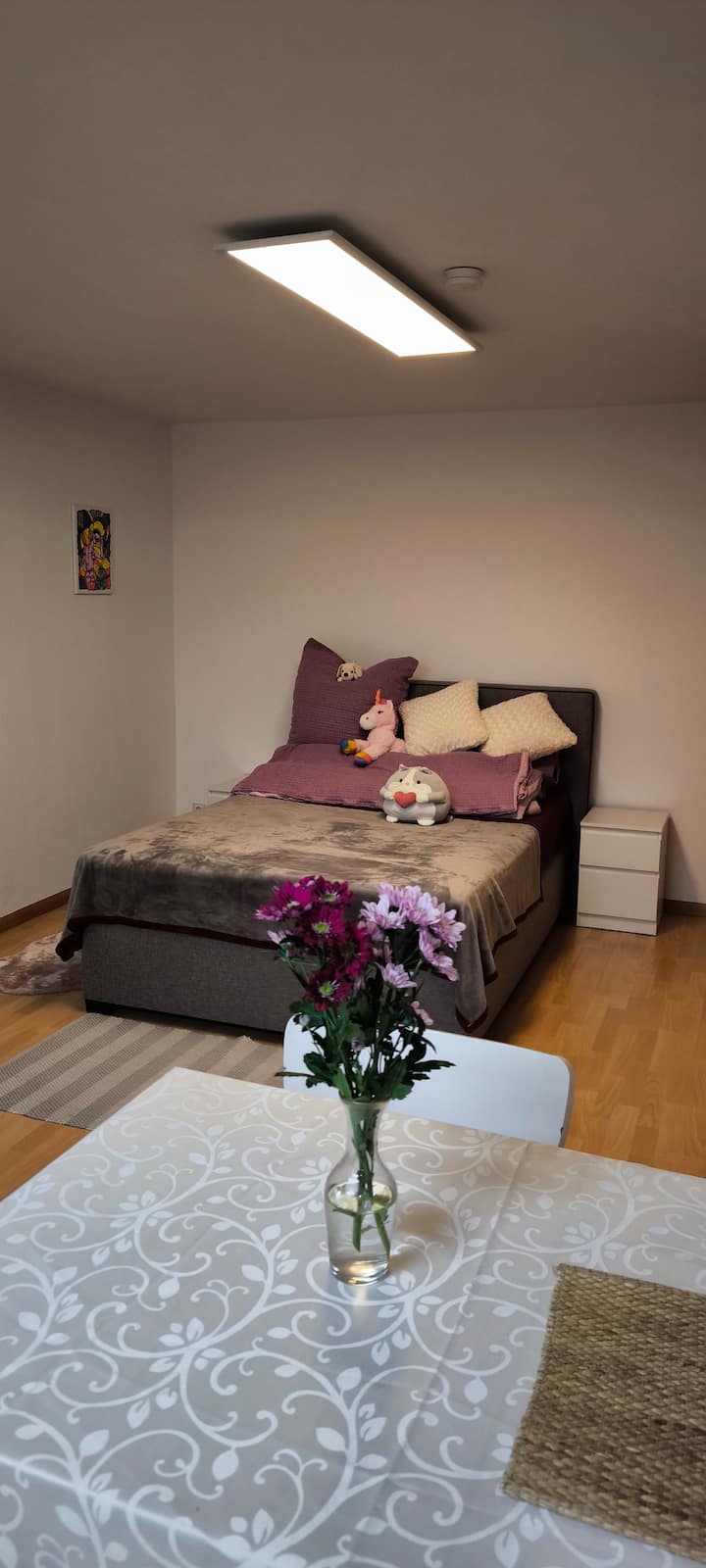 Liebevoll Eingerichtetes Mini-apartment - Offenburg