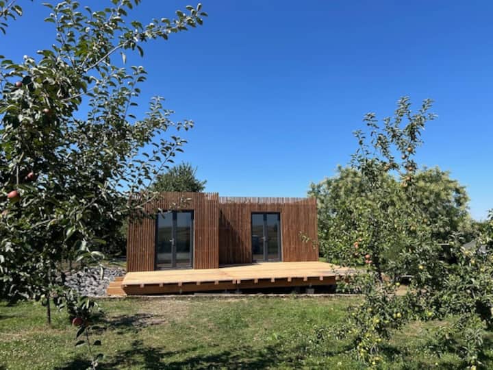 Un Coin De Nature En Plein Cœur Du Saulnois - Vic-sur-Seille