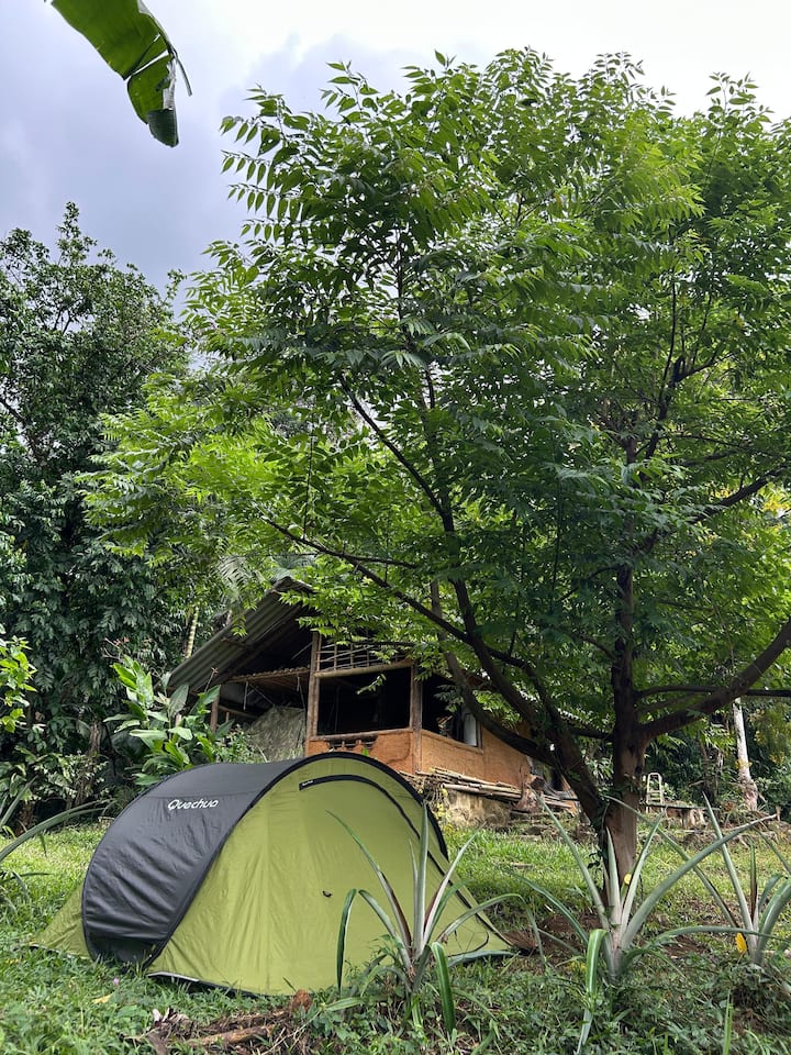 Tenda Atlântica - Mangaratiba