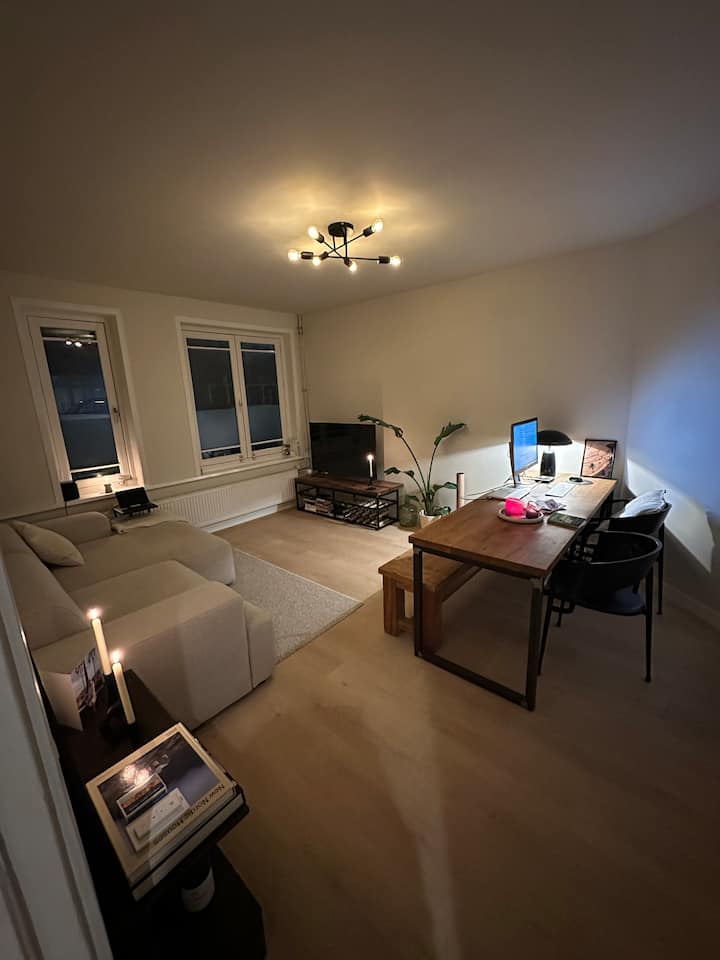 Comfortable & Renovated Apartment Amsterdam-west! - Amsterdam