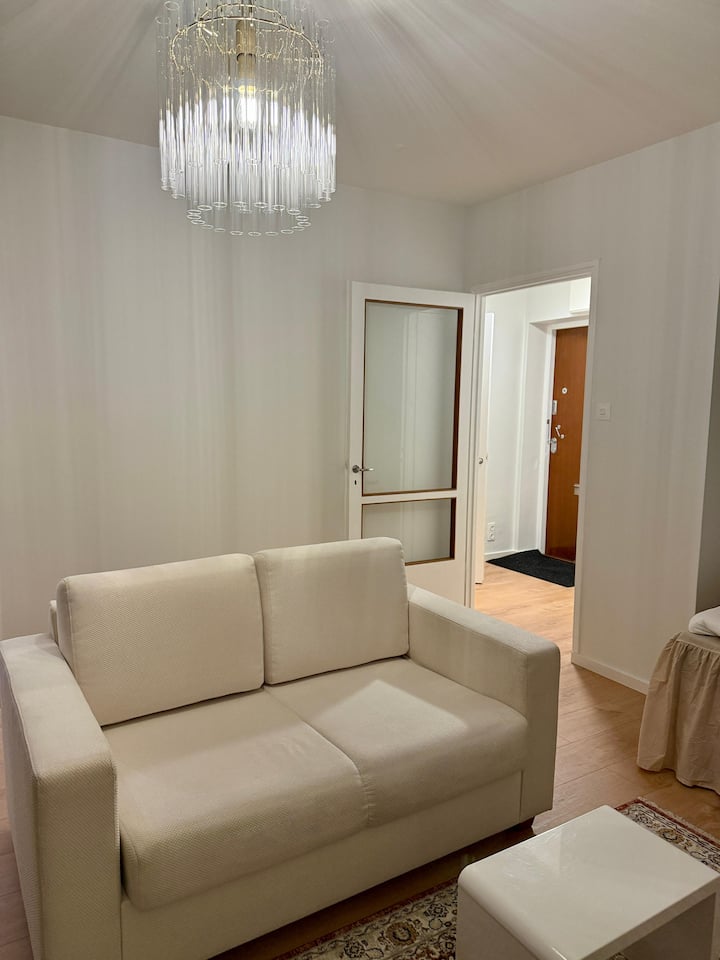 Viihtyisä Yksiö Logomon Ja Rautatieaseman Vieressä - Turku