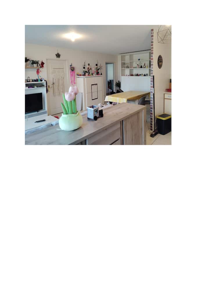 Appartement Dans Un Quartier Verdoyant - Illkirch-Graffenstaden