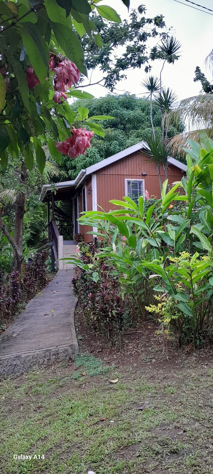 Ile We'-ichali Cottage - Dominique