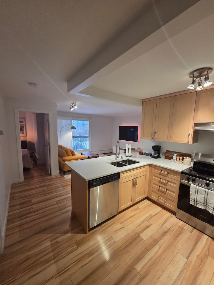 City Condo With River Views (Parking Included) - Alberta