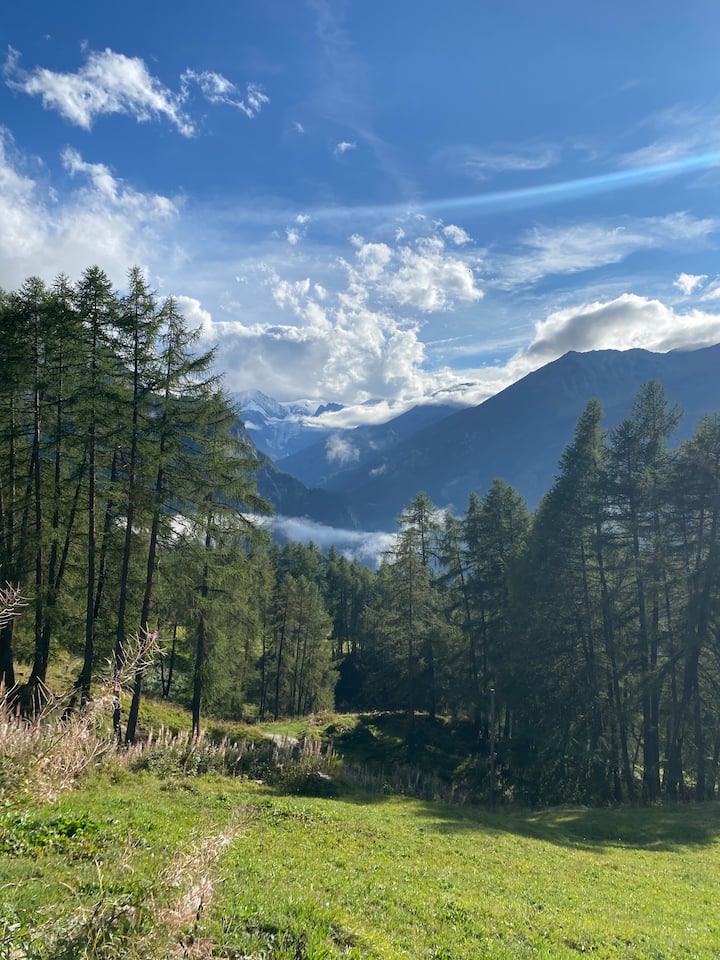 Appartement à Louer Dans Un Chalet En Valais - Grimentz