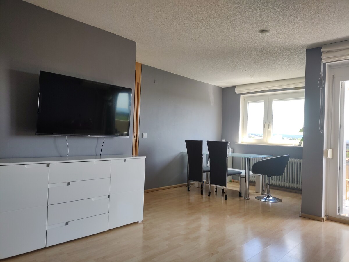 Apartamento panorámico - Amplio y luminoso - Departamentos en renta en ...