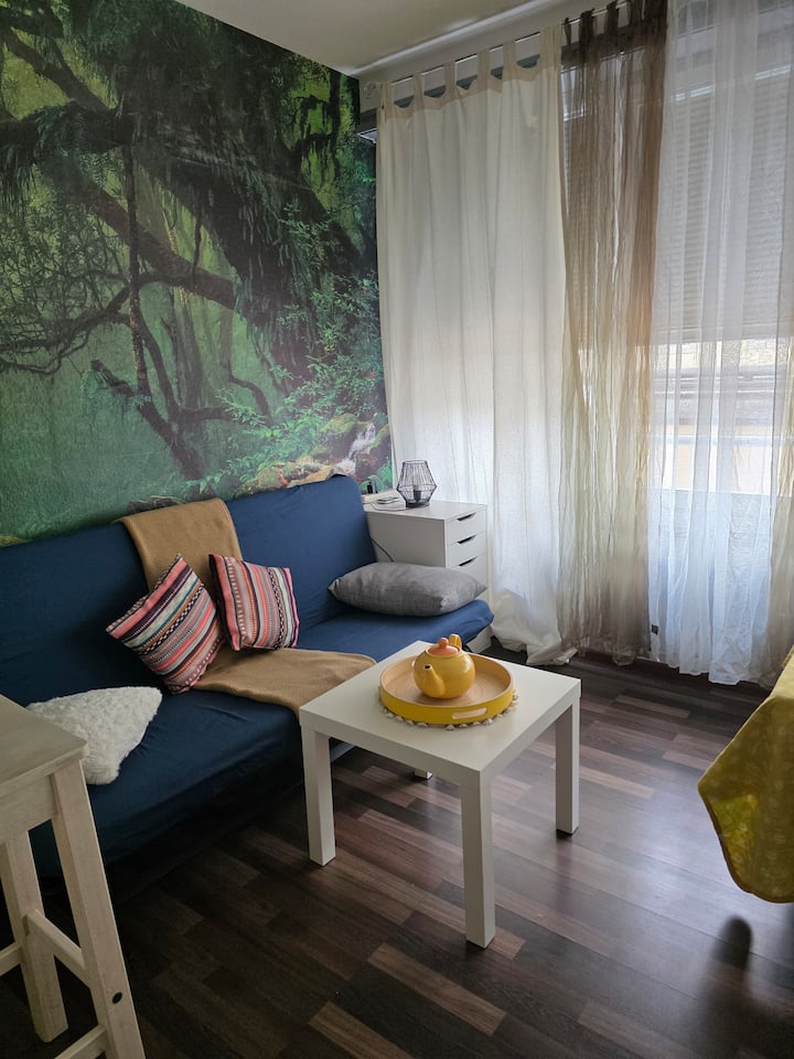 Au Centre De Genève, Studio à 5 Minutes Du Lac - Kanton Genf