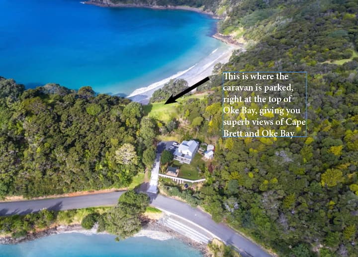 Some Beautiful Dreams Do Come True! - Northland