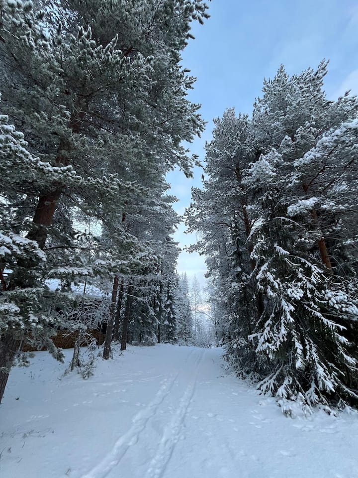 Asuntovaunu Rauhallisella  Metsätontilla +Poreamme - Rovaniemi
