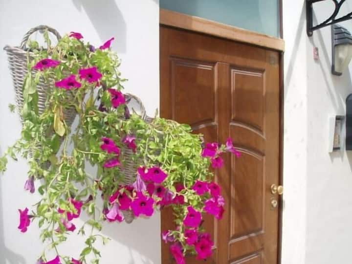 Bed And Roses - Montesilvano