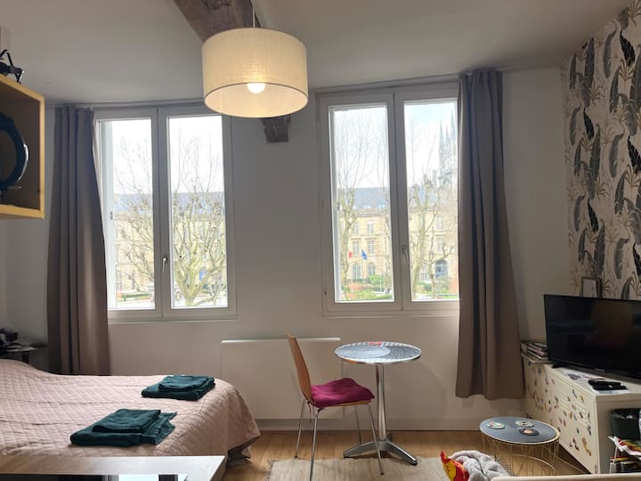 Studio Hyper Centre, Devant Hôtel De Ville - Rouen