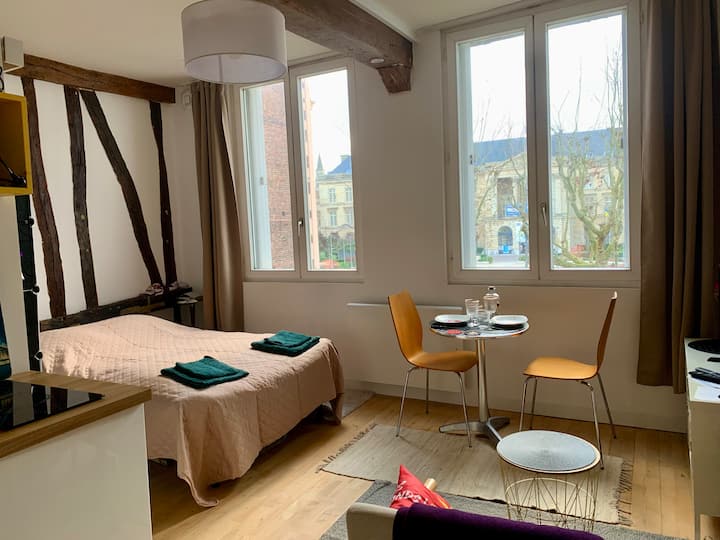 Studio Hyper Centre, Devant Hôtel De Ville - Rouen