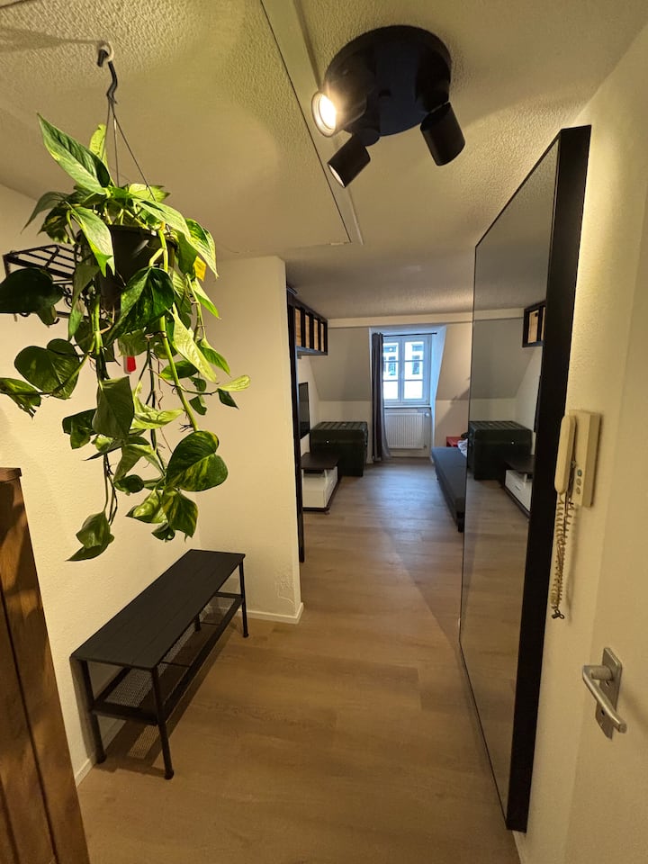 Zentrale Wohnung An Der Dreisam In Der Innenstadt - Friburgo, Alemania