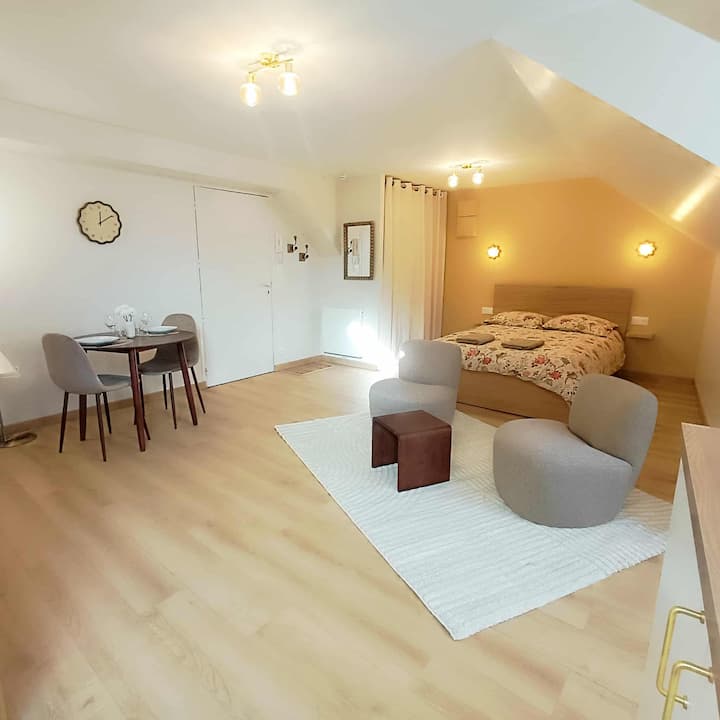 Rachel: Studio Hyper Centre Cholet/puy Du Fou - Cholet