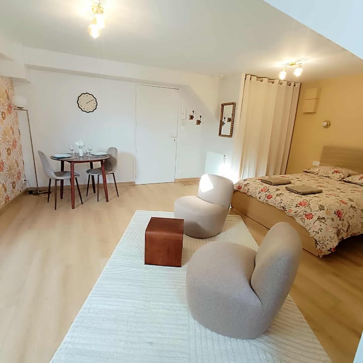 Rachel: Studio Hyper Centre Cholet/puy Du Fou - Cholet