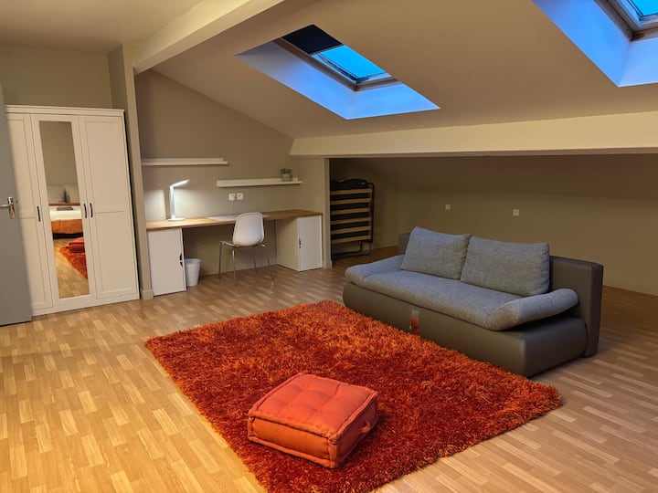 Appartement Spacieux En Centre Ville - Roanne