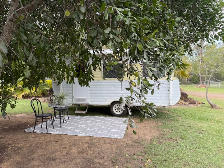 Gracie The Christmas Van - Ipswich