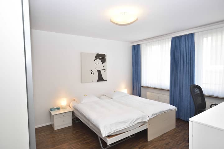 Modern 2br Near Lake - Flower 13 - Zurich