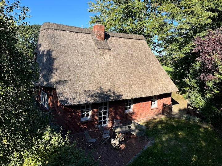 Ferienhaus „Am Ochsenmoor“ - Damme