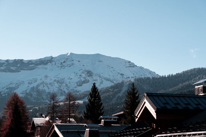 Arbois Elégance - Ski Aux Pieds - Megève