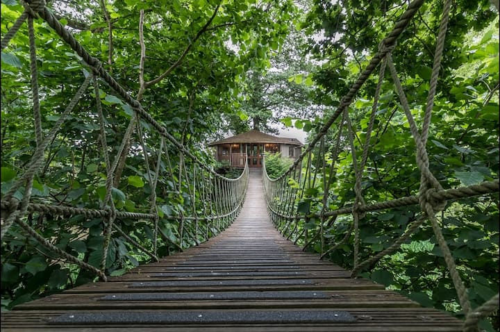 Bensfield Treehouse - Kent